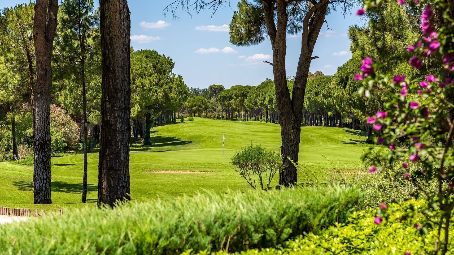 Nature Of The Golf in Belek - CORNELIA GOLF CLUB